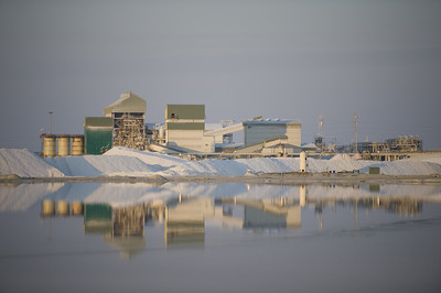 Botswana Ash: An innovative upgrade to withstand the test of time - News